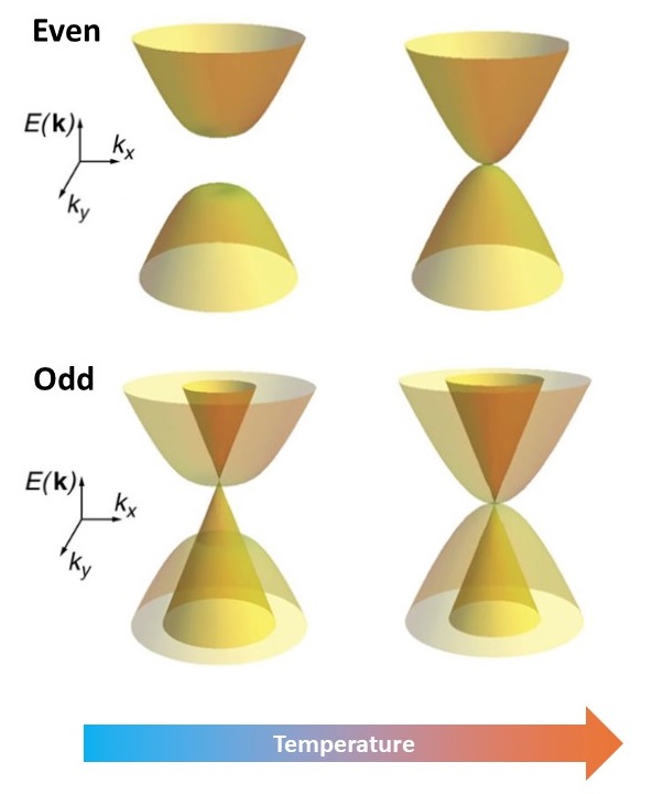 A family of finite-temperature electronic phase transitions in graphene ...