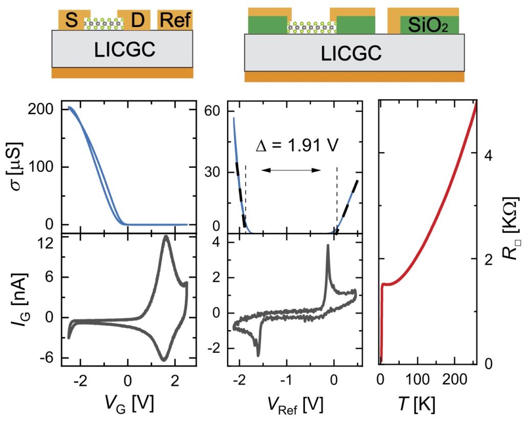 Full Control of Solid-State Electrolytes for Electrostatic Gating ...